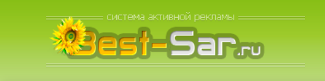 BEST-SAR.RU:Статистика пользователя сервиса